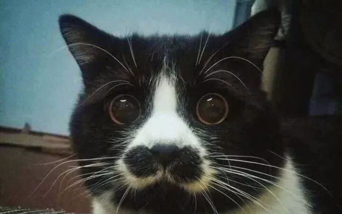 【每日一囧】超熟睡夜用的不正经用法~