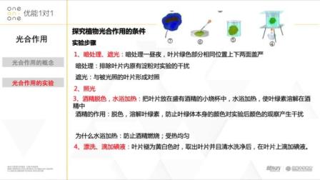 光合作用实验.mov