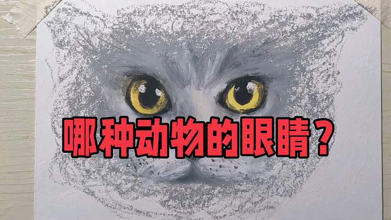油画棒小技巧,猜猜这是画的哪种动物的眼睛,这样的晶莹剔透