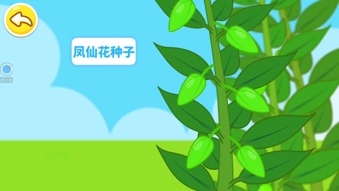 宝宝爱自然之豌豆种子的传播途径游戏