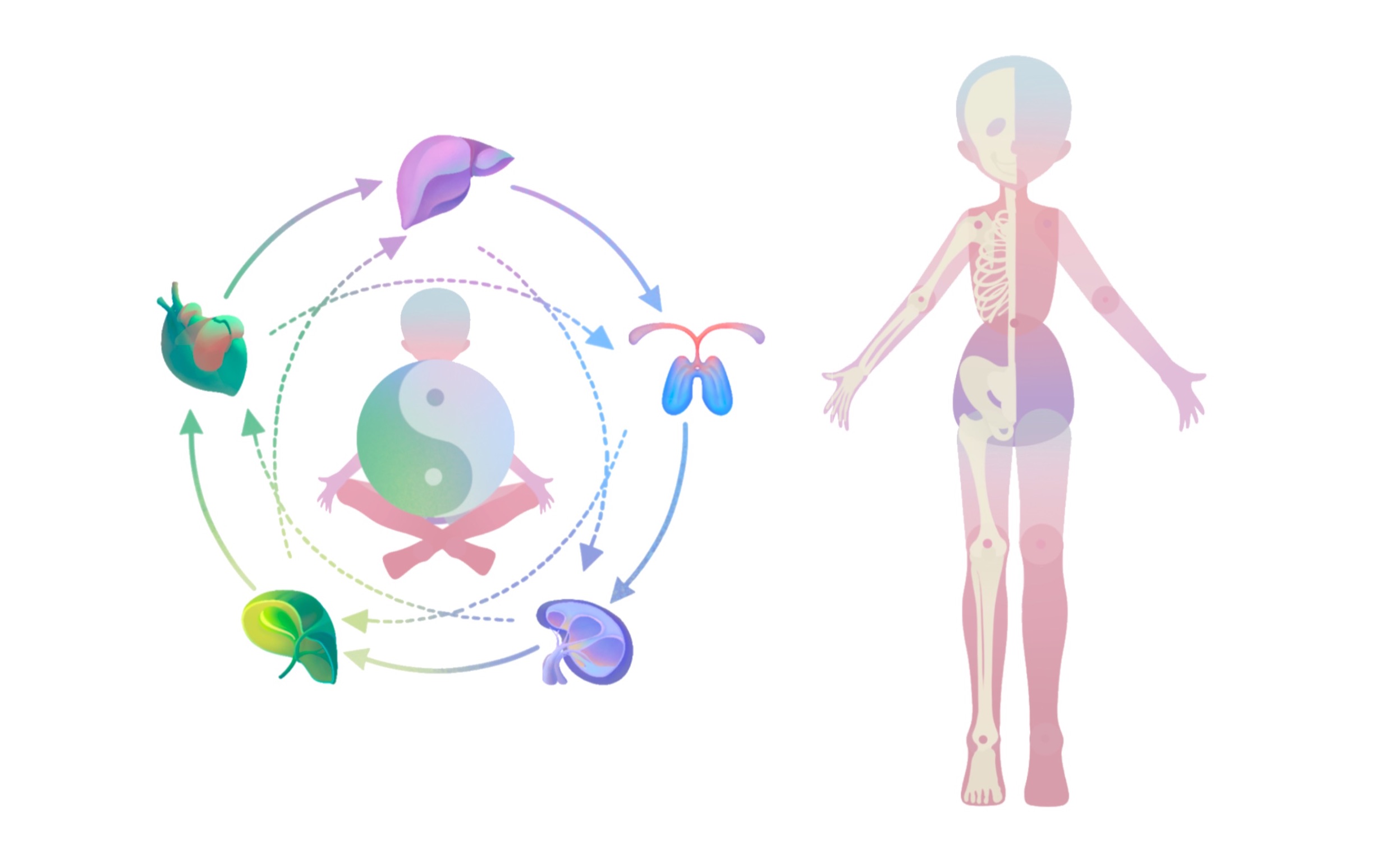 央美大一《节气针灸指南》概念ppt(不是)动画作业(ae自学1个月做出烂...