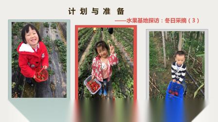 “水果节”课程审议.wmv