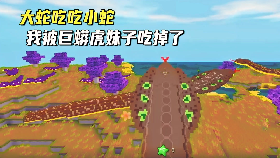 迷你世界:大蛇吃小蛇!妹子变成超大巨蟒,一口把我给吃掉了