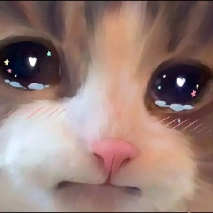 xuxuanyu 