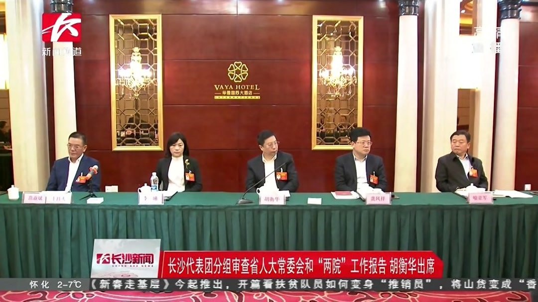 长沙代表团分组审查省人大常委会和“两院”工作报告 胡衡华出席