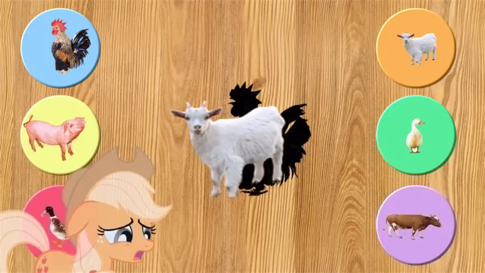 认识鸡鸭鹅猪牛羊生活中常见的6种动物,早教启蒙益智动画