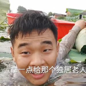 林中乡村生活 