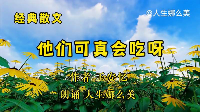 经典散文朗诵《他们可真会吃呀》作者王安忆,油烟的旅行也有趣