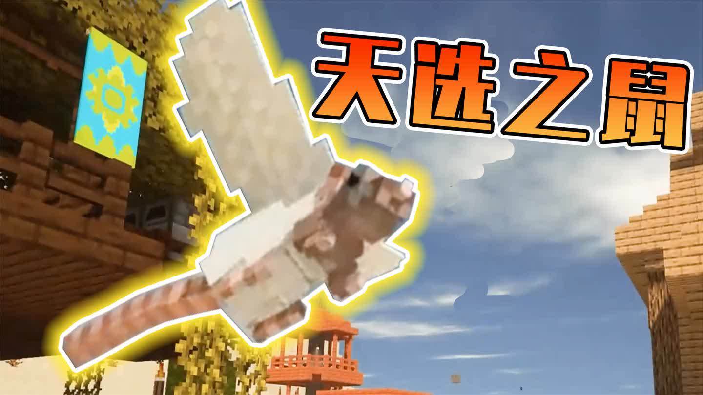 我的世界老鼠殖民地53:诞生出老鼠圣子!