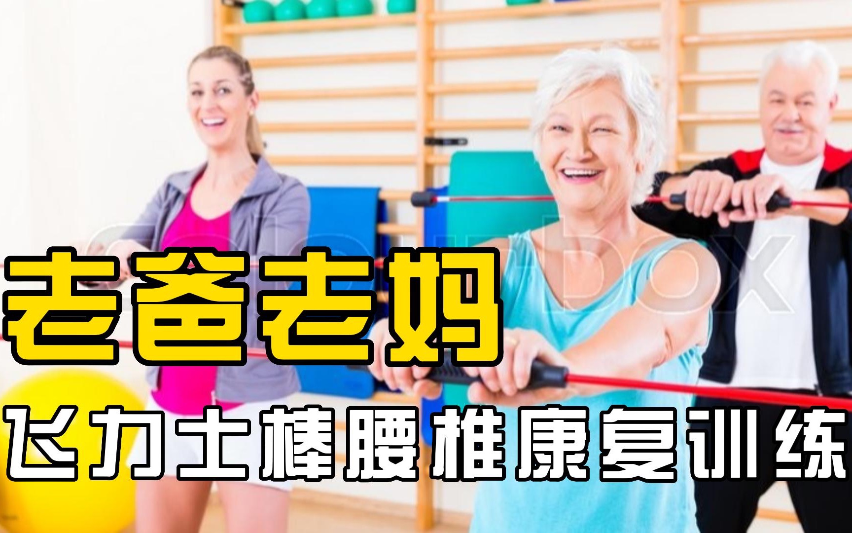 老爸老妈飞力士棒腰椎康复训练