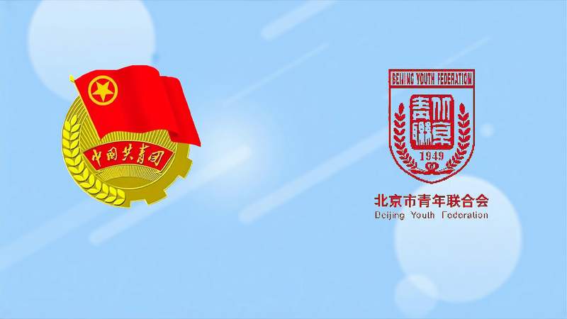以北京共青团为核心力量的北京市各青年团体的联合组织