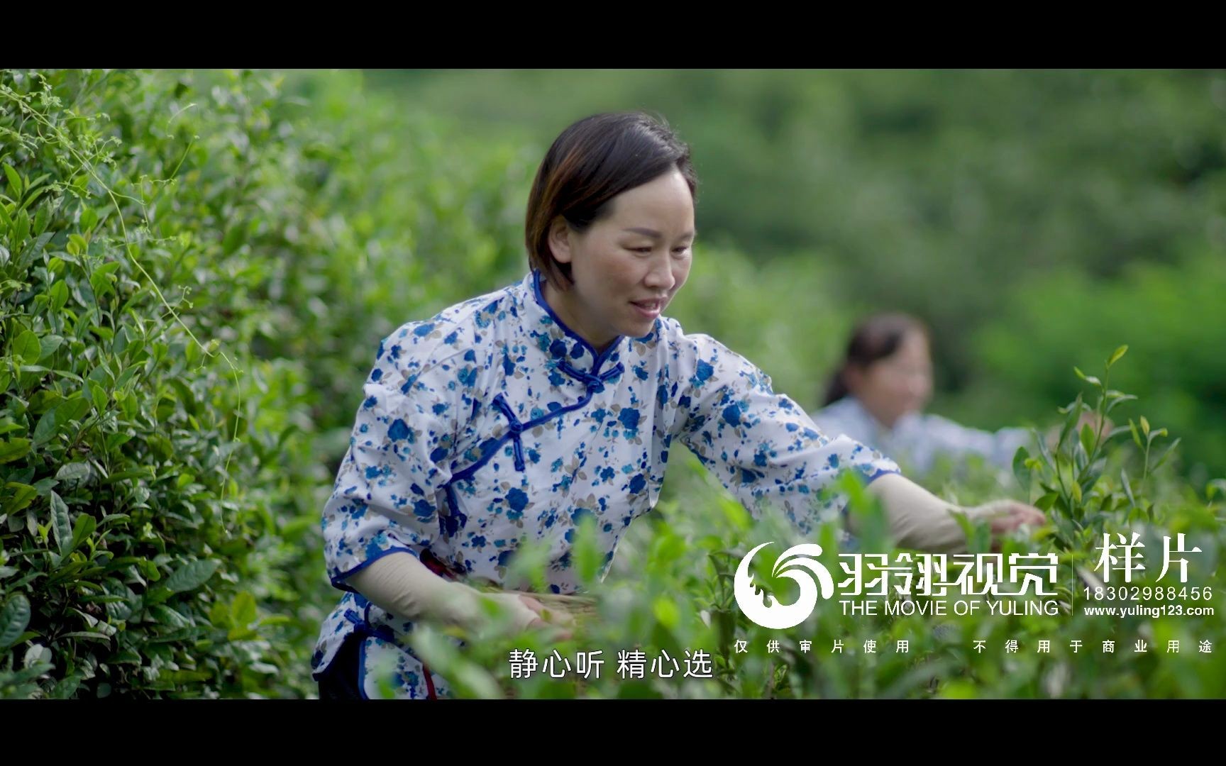 《平利女娲茶》宣传片_茶叶宣传片