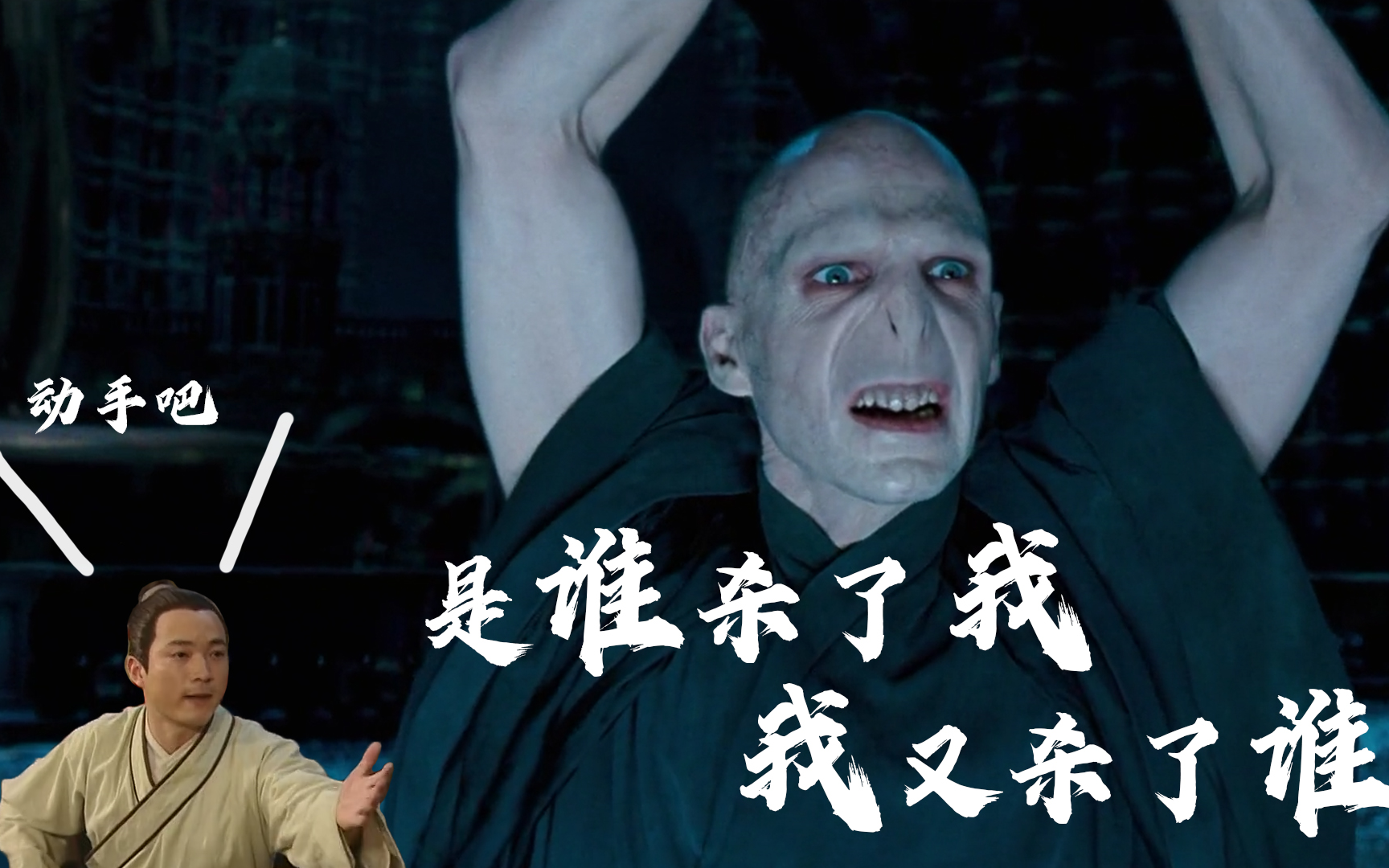【武林外传丨哈利波特】伏地魔:是谁杀了我?我又杀了谁?