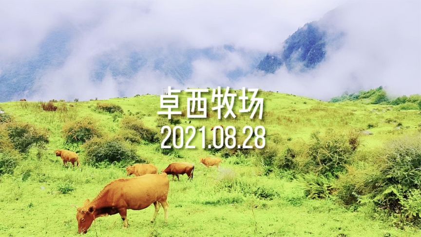 距离成都130公里的高山草原牧场,原始森林