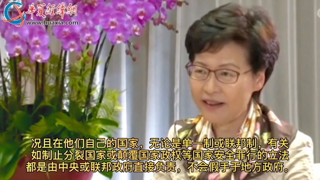 香港国安法须经立法会程序? 林郑月娥回怼:痴人说梦话
