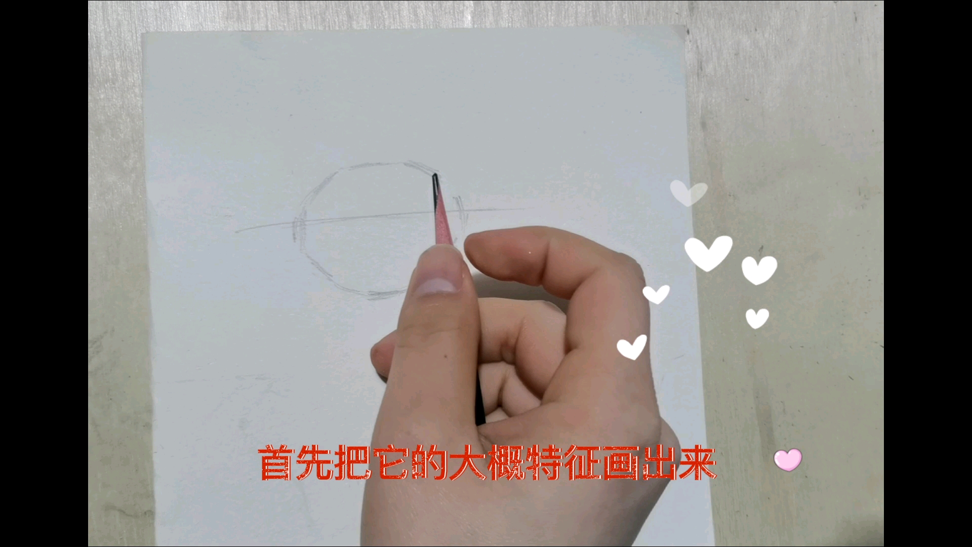 猫科动物绘画—猫