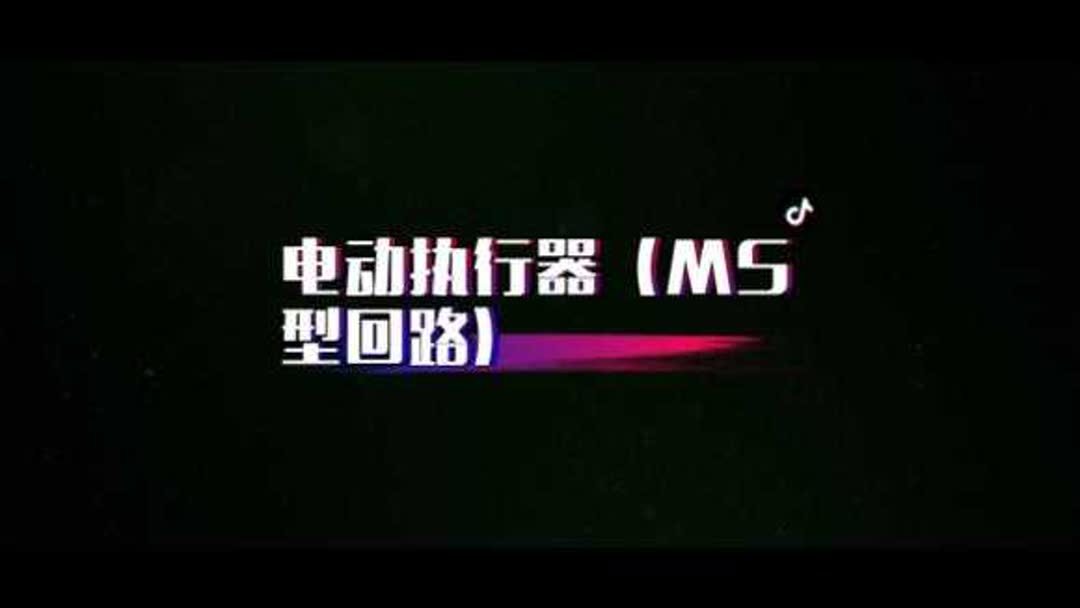 开关型电动执行器(MS型回路)#自动化 #电动执行器
