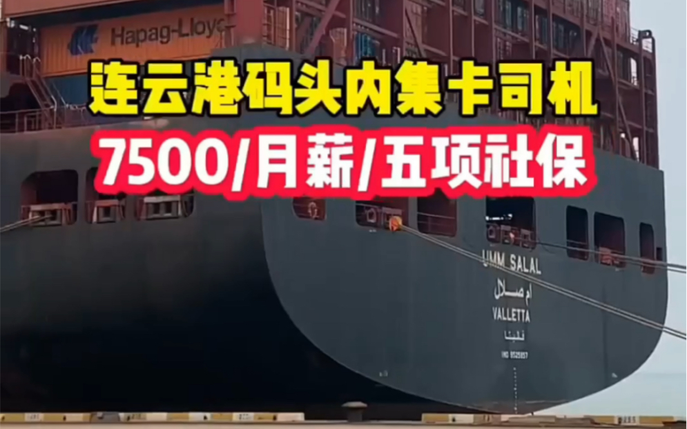 连云港招聘内集卡车司机