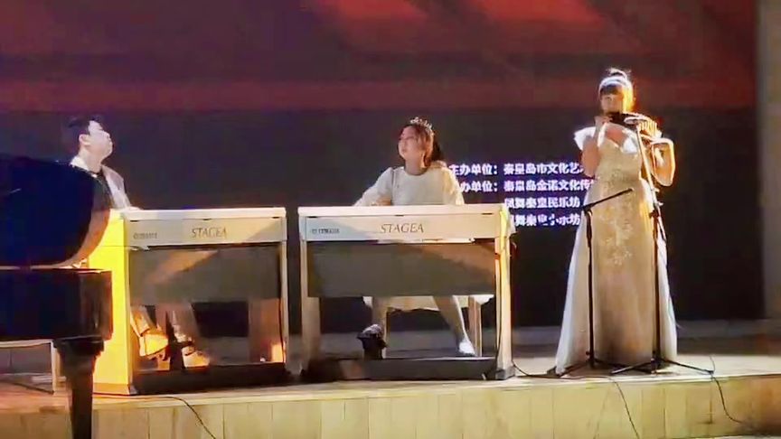 #抖音小助手dou上热门 #音乐会 #双排键电子管风琴