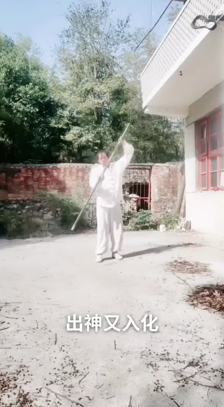 发展发扬传承中华传统武术及武术文化坚决反对现代舞术坚决反对现代...