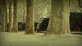 微观小世界-10