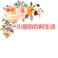 小姜的农村生活 