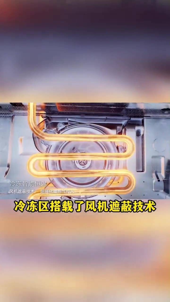 要选十字门或法式四门冰箱