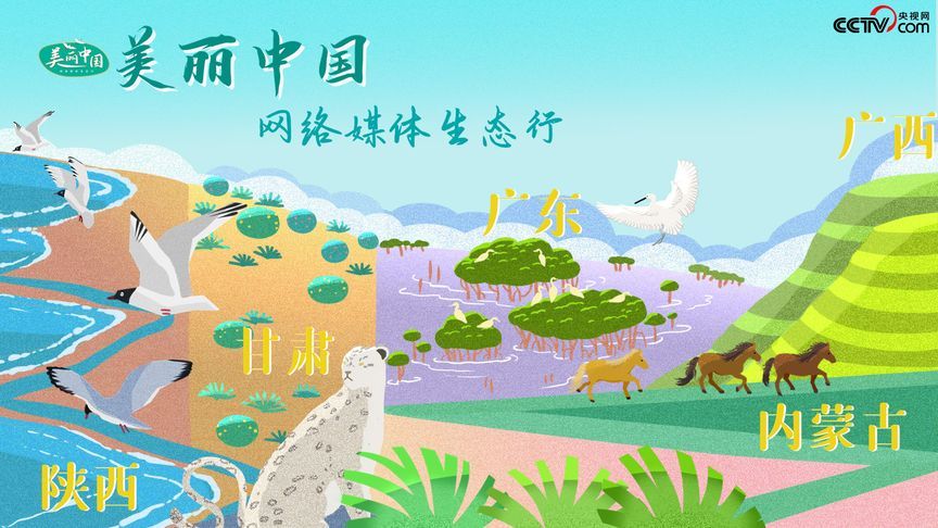 宣传片丨行走美丽中国 见证十年巨变