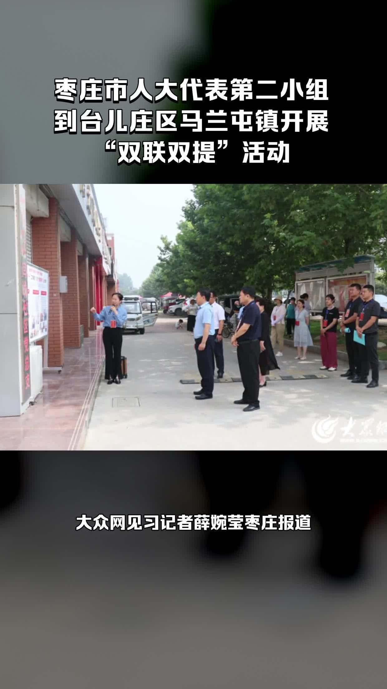 枣庄市人大代表第二小组到台儿庄区马兰屯镇开展“双联双提”活动