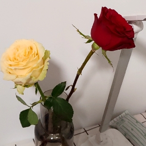 朱老师的微课堂 