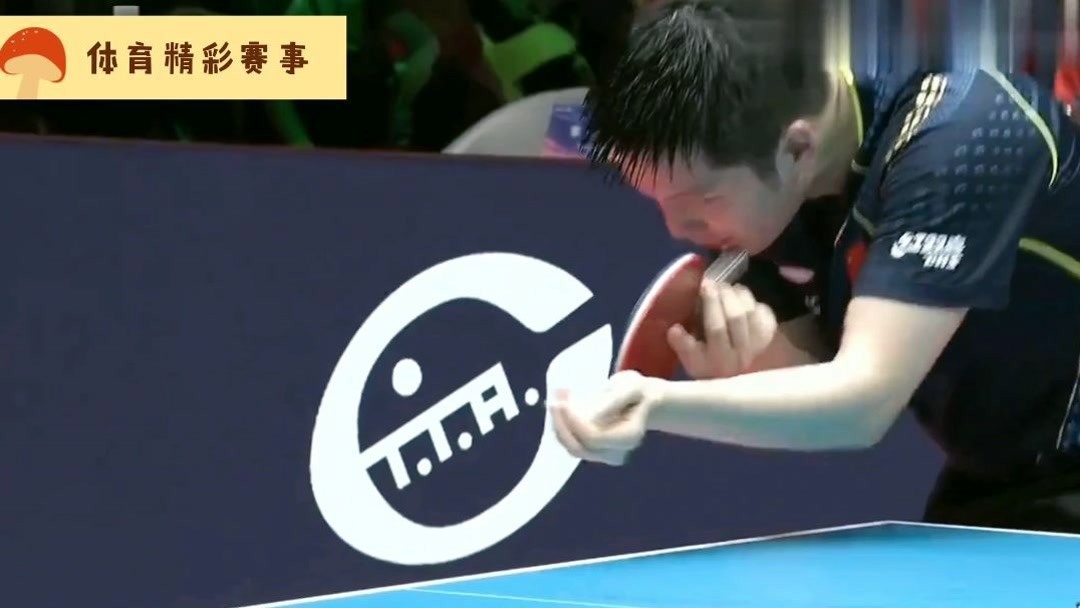 2021南阳站乒乓球决赛,樊振东VS许昕