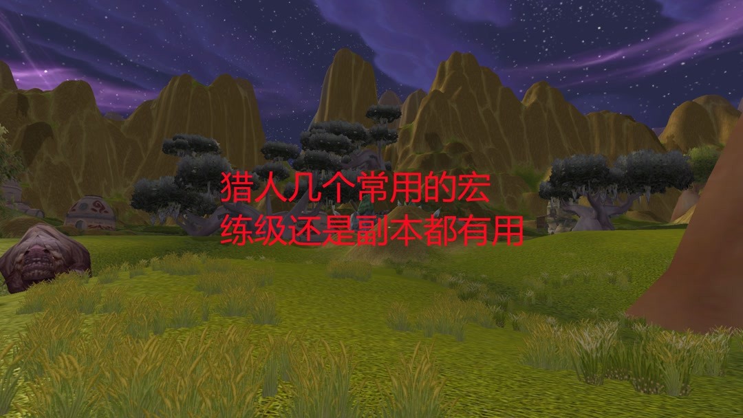 魔兽世界怀旧服:猎人几个常用的宏,练级还是副本都有用