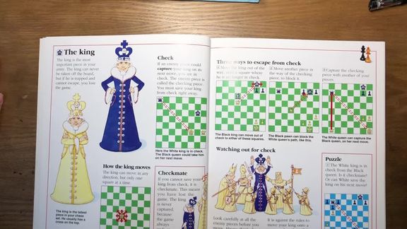 Robin小朋友读国际象棋启蒙书《Starting Chess》- The King