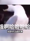 你可见过如此凶残的动物合成模拟器(上)#模拟器 #游戏中的弟弟行为