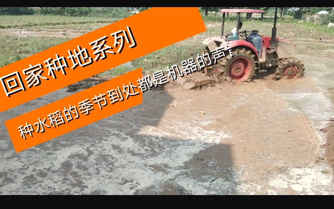 农忙季节来临这段时间到处都是这种机器声准备种水稻了