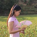 乡村小雁 