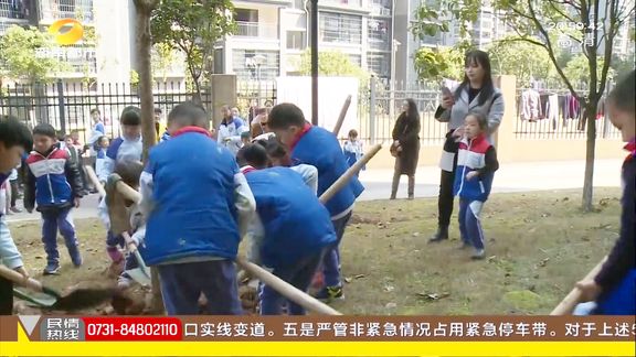 平均年龄5岁的小宝宝们是怎样过植树节的?跟着视频,一起去瞧瞧