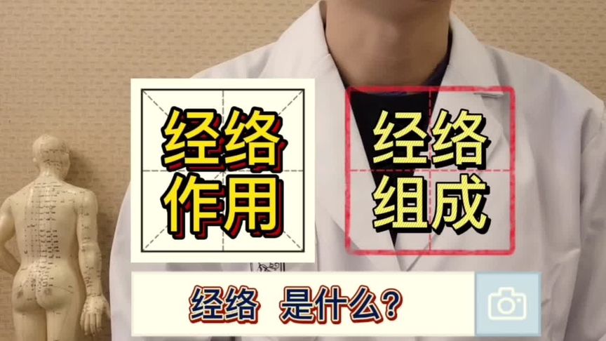 #健康科普 经络作用,组成,下期讲十二条经脉