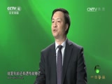 [中华医药]洪涛信箱:藏在血管中的炸弹 颈动脉筛查