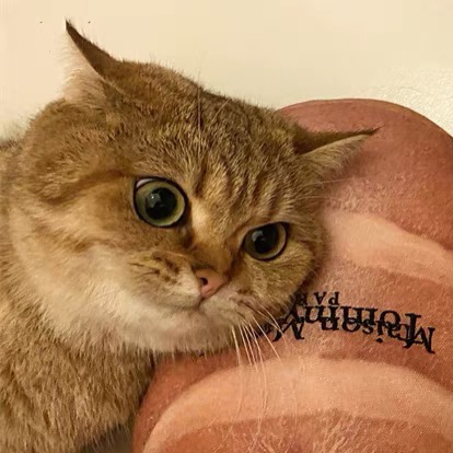 兴胡公主 