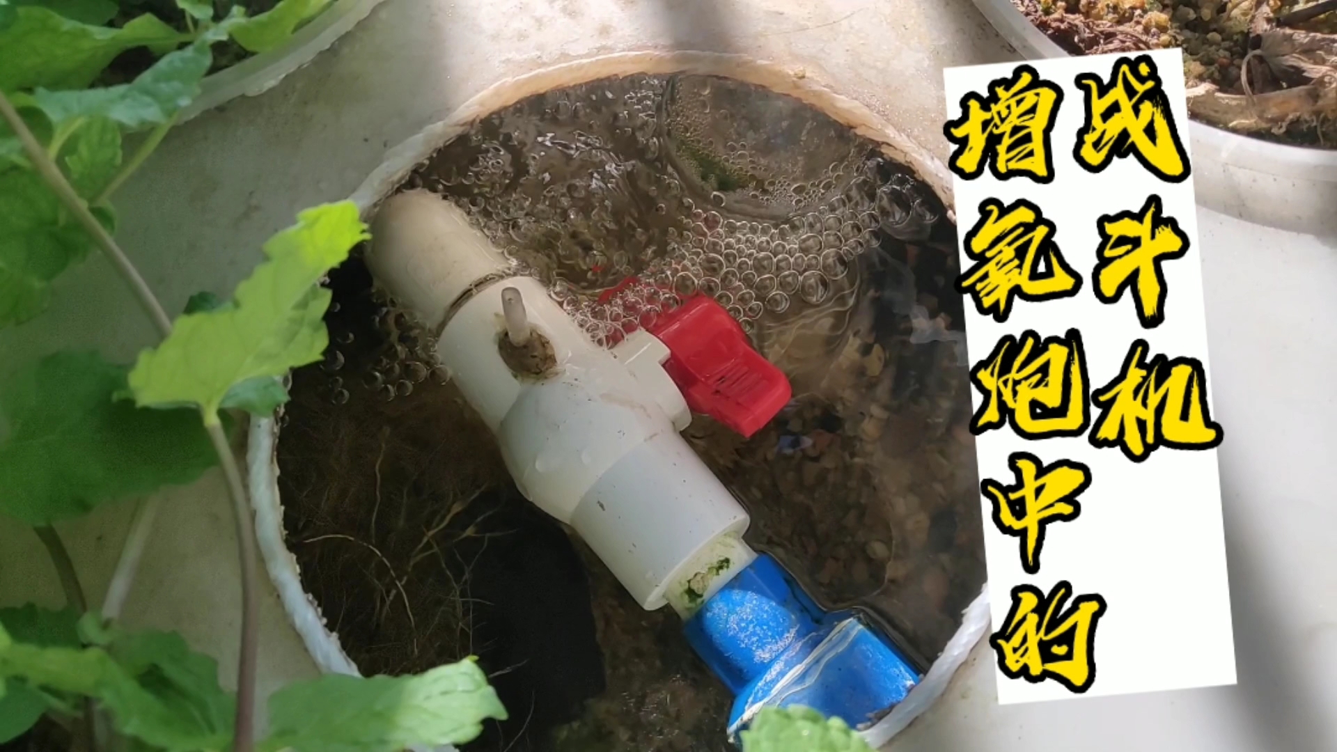 自制增氧炮中的战斗机 效果一级棒