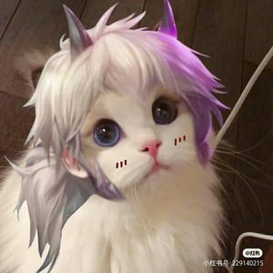 帅帅哒的王者游戏解说 