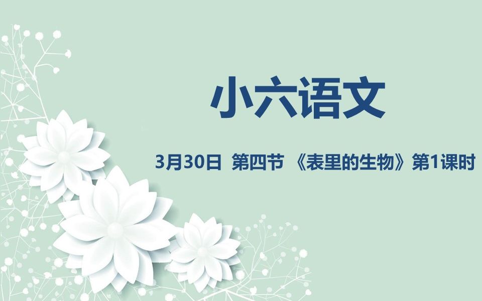 小六语文03-30第四节 16.《表里的生物》第1课时