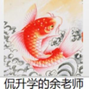 武汉硚口初数余老师 