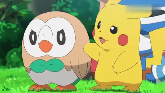 好可爱啊!木木枭对战输了,皮卡丘安慰它,它却鼓着嘴