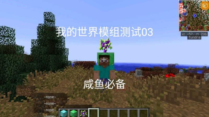 我的世界模组测试03:咸鱼必备