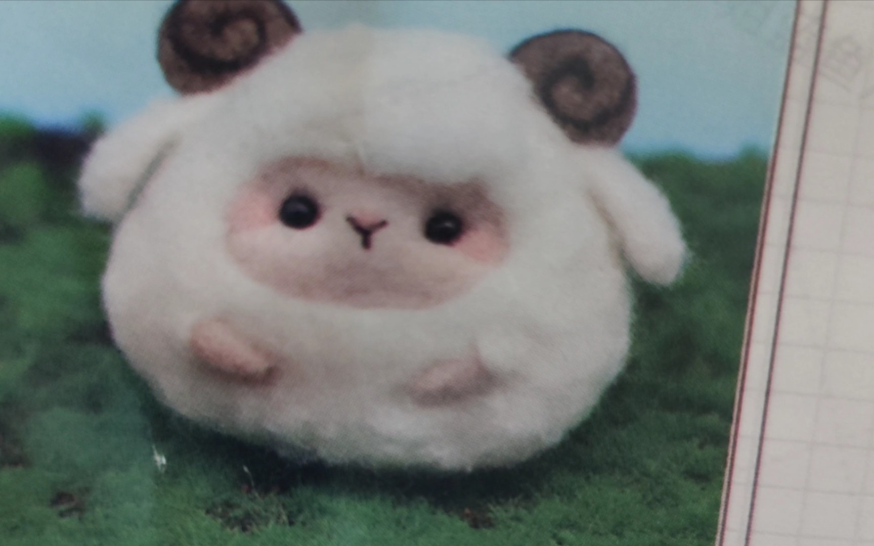 羊毛毡《从入门到放弃》