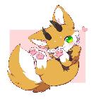 狐狸凯特 
