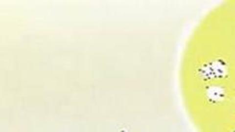 安全教育视频-轮滑安全我知道