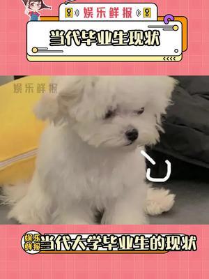 #毕业生现状 就很真实,谁懂.#就业